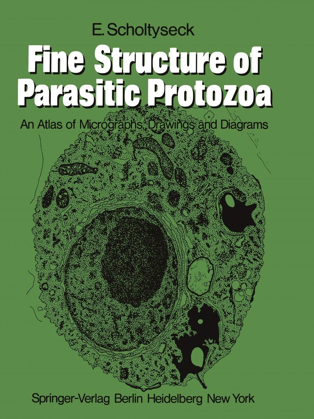 Fine Structure Of Parasitic Protozoa An Atlas Of Micrographs Drawings ...