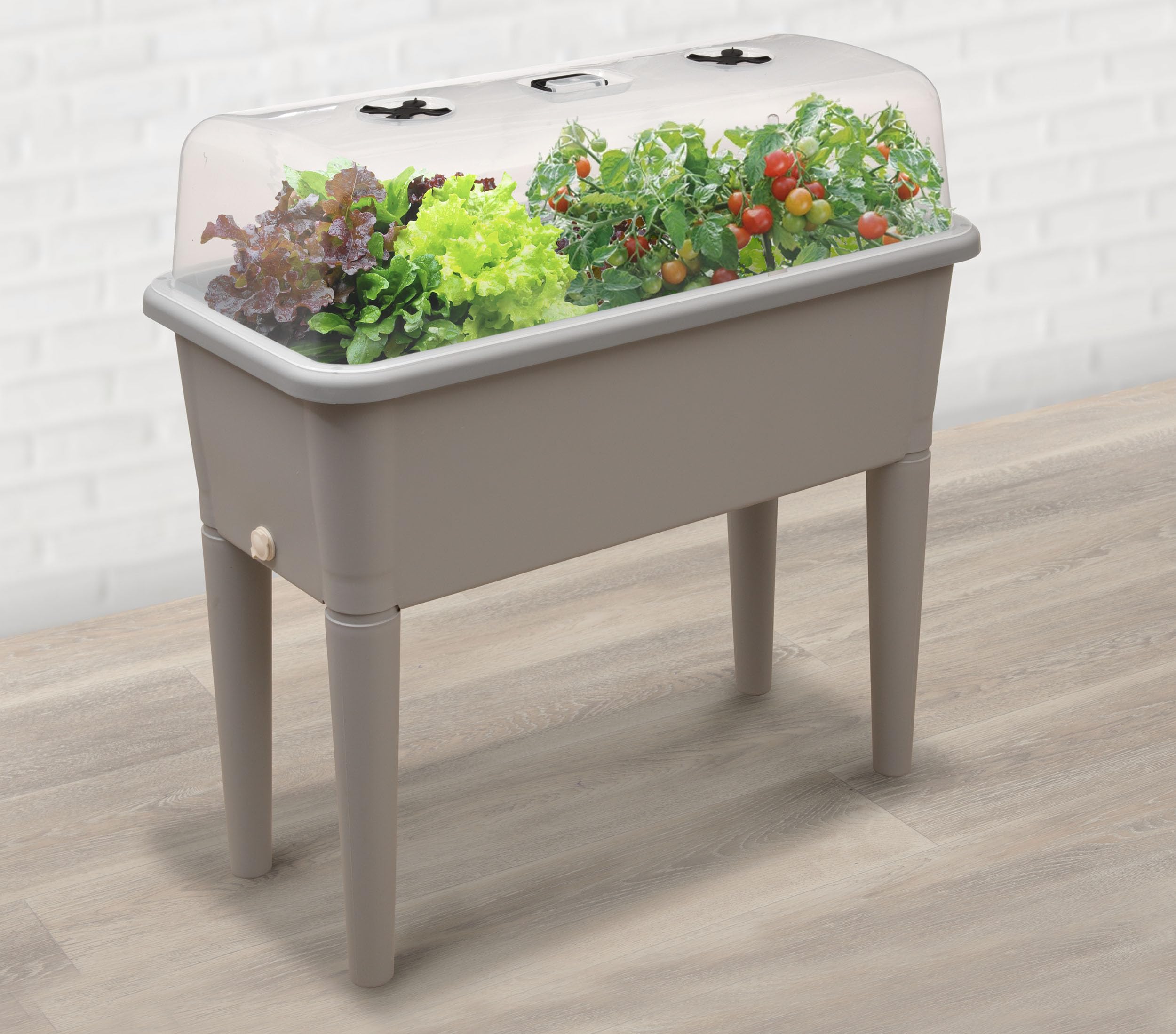 Vegetable Growing Table