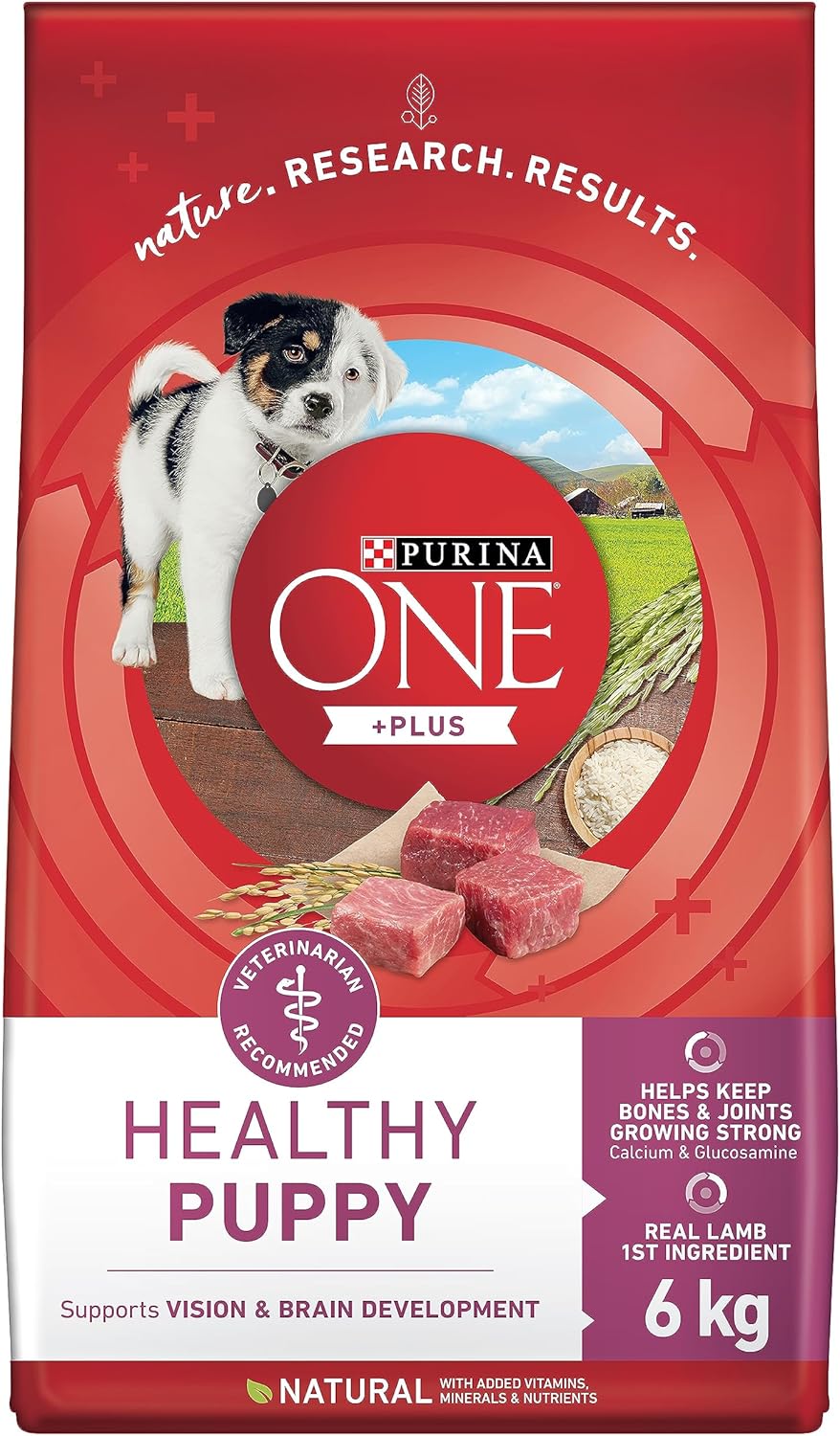 Purina ONE +Plus Dry Puppy Food with Lamb - 6 kg Bag : Amazon.ca: Pet ...