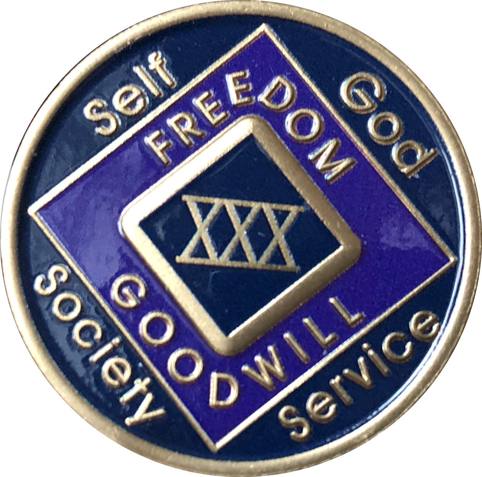 Amazon.com: 30 Year Blue and Purple NA Medallion Official Narcotics ...