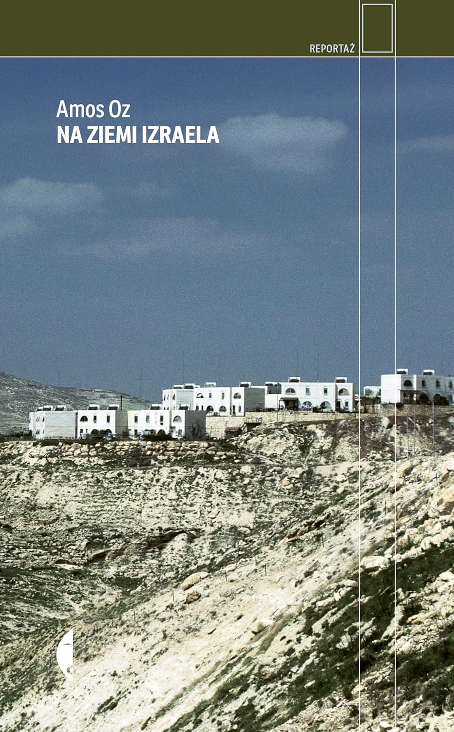 Amazon.com: Na ziemi Izraela: 9788381915878: Books