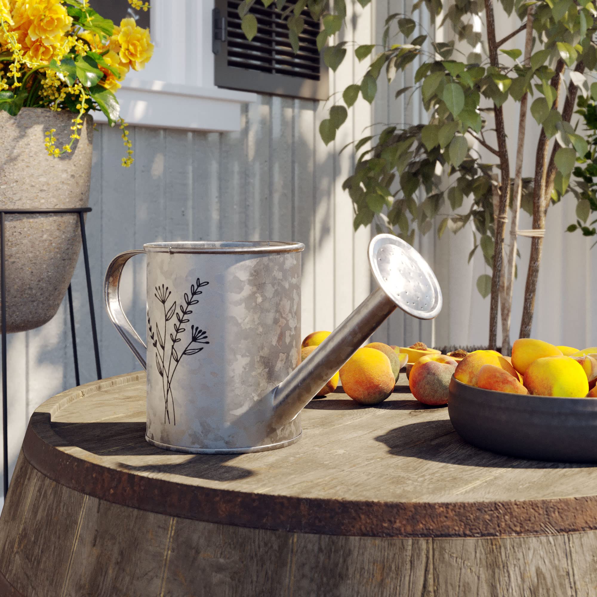 Cheap Galvanized Watering Cans