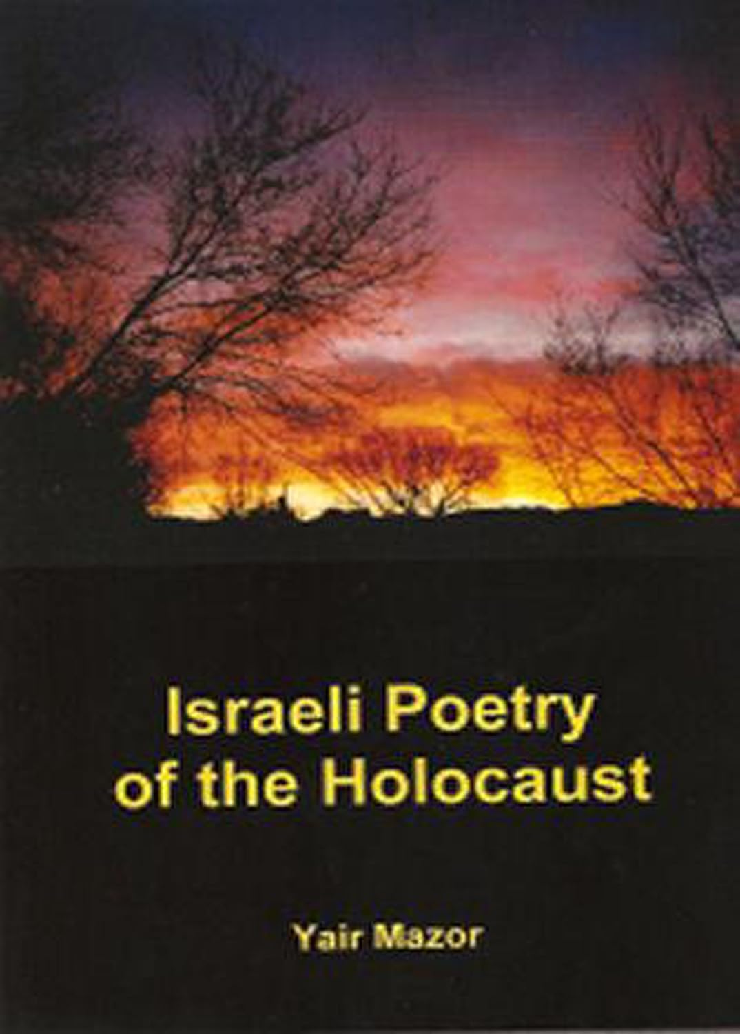 Israeli Poetry of the Holocaust: Mazor, Yair: 9781611473643: Amazon.com ...