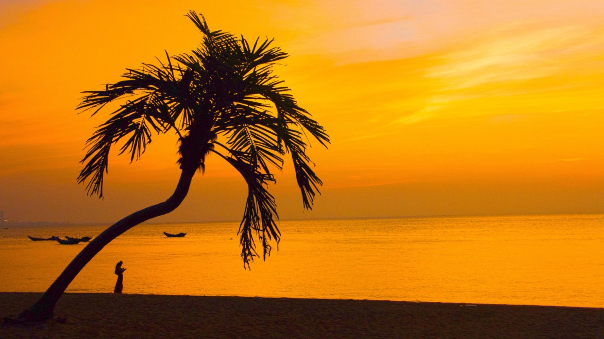 Beaches - App on Amazon Appstore