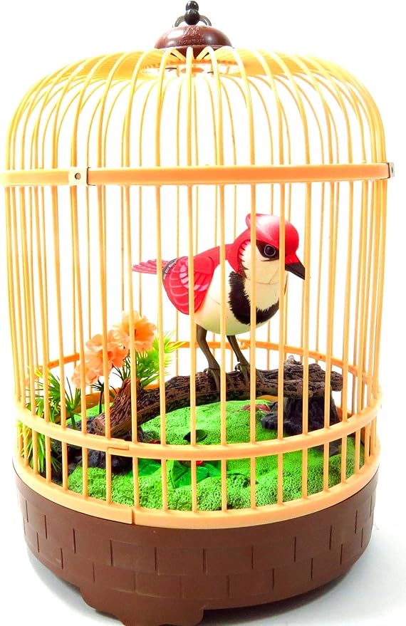 Amazon.com: PowerTRC Singing & Chirping Bird in Cage, Realistic Sounds ...