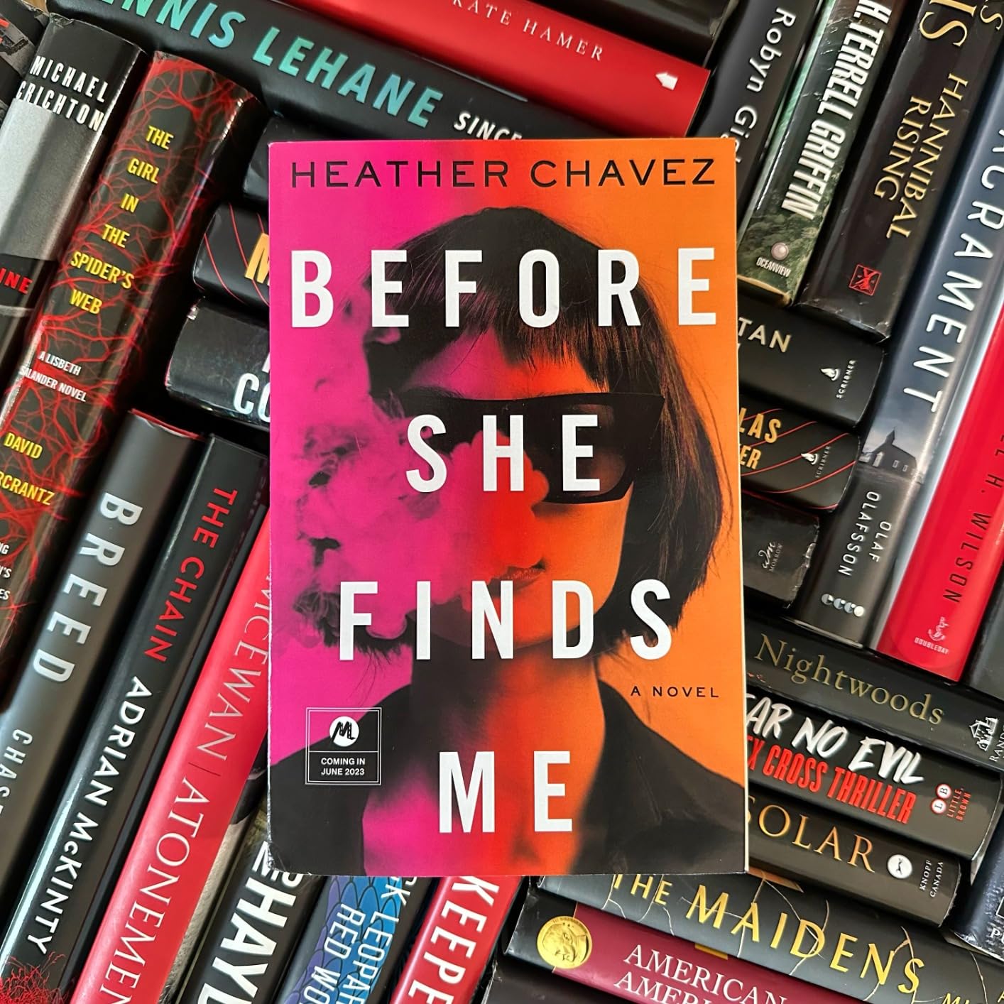Amazon.com: Before She Finds Me: A Novel (Audible Audio Edition): Heather Chavez, Megan Tusing ...