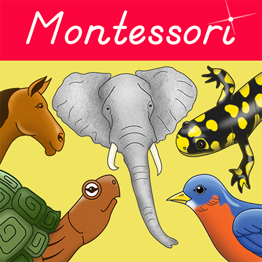 Parts of Animals (Vertebrates) - Montessori Approach to Zoology - App ...