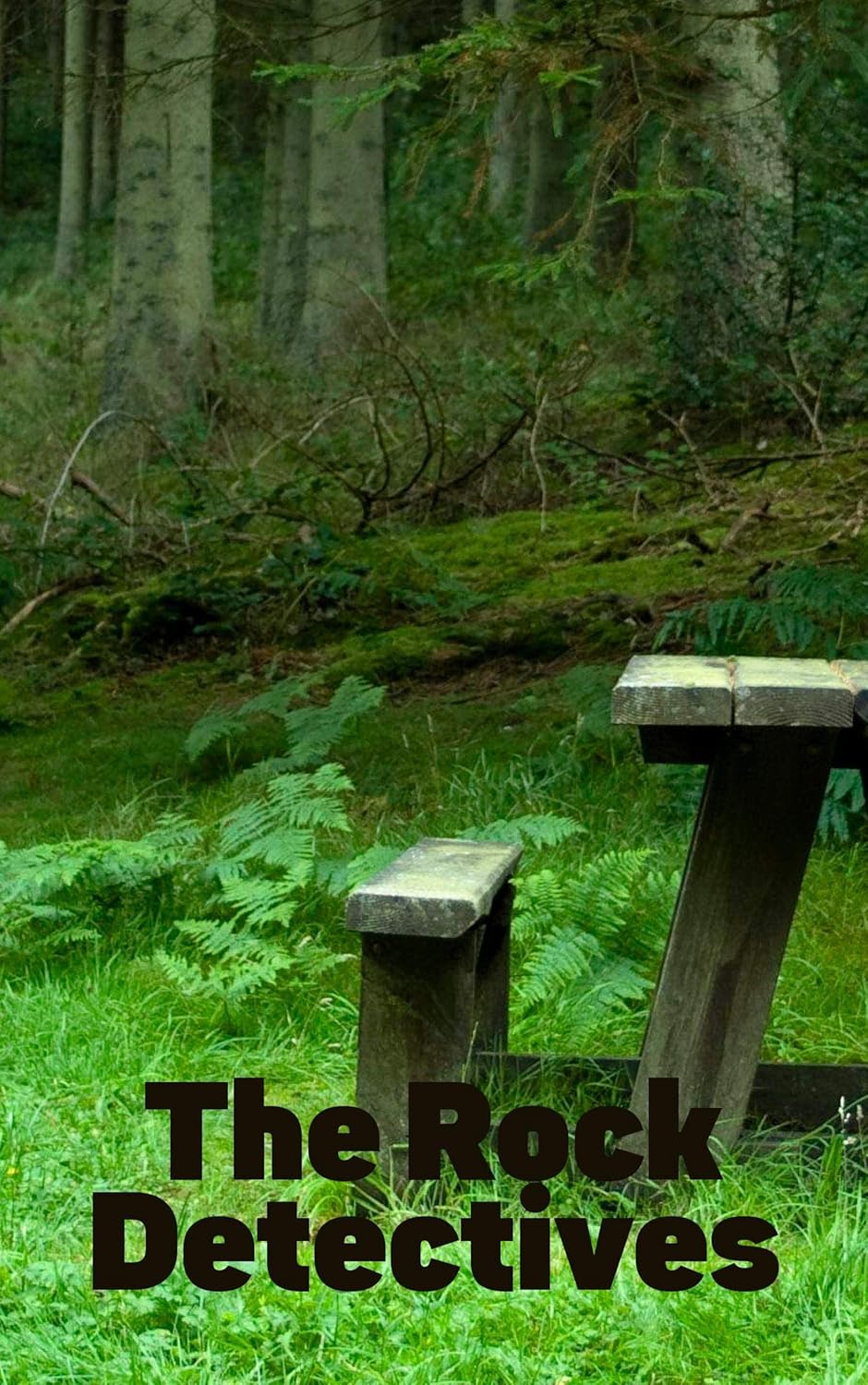 The Rock Detectives (Irish Edition) eBook : Petersson, Ruben: Amazon.ca ...