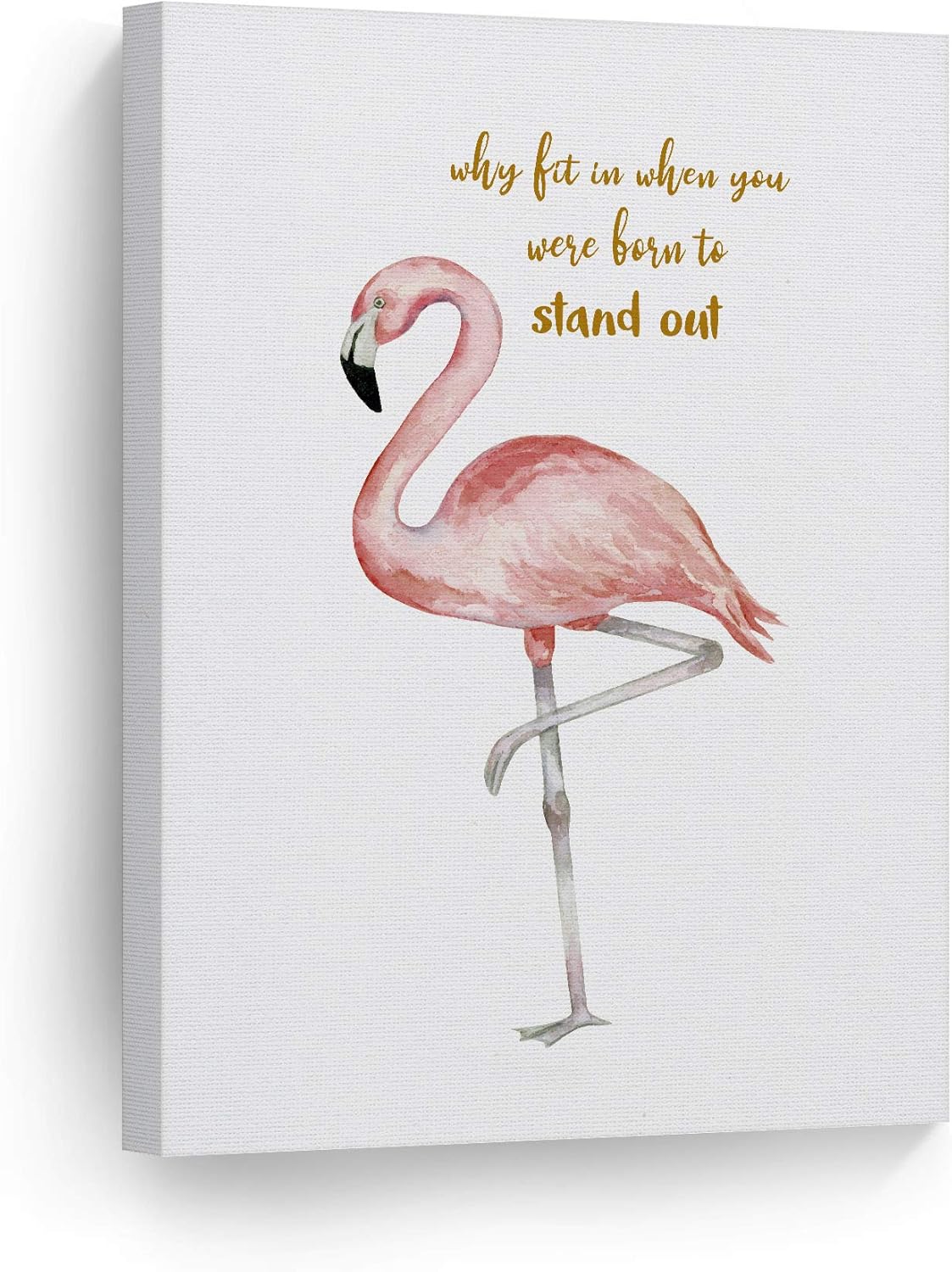 Amazon.com: Why fit in When You were Born to Stand Out Flamingo Quote ...