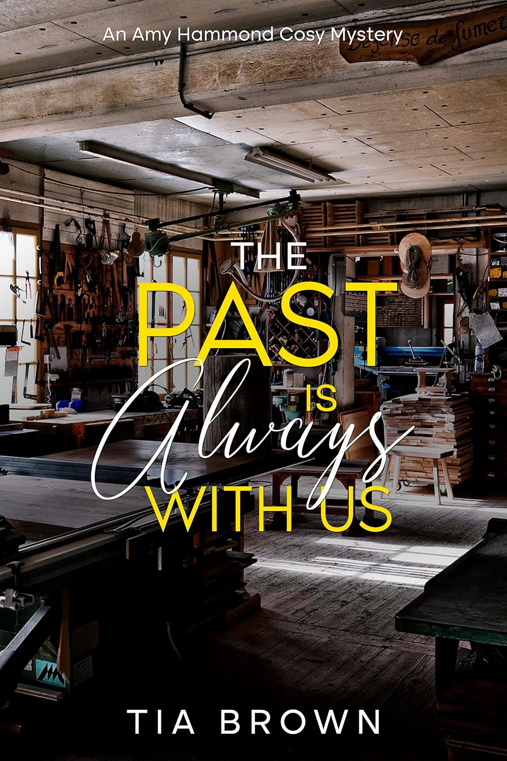 Amazon.com: The past is always with us: An Amy Hammond cosy mystery ...
