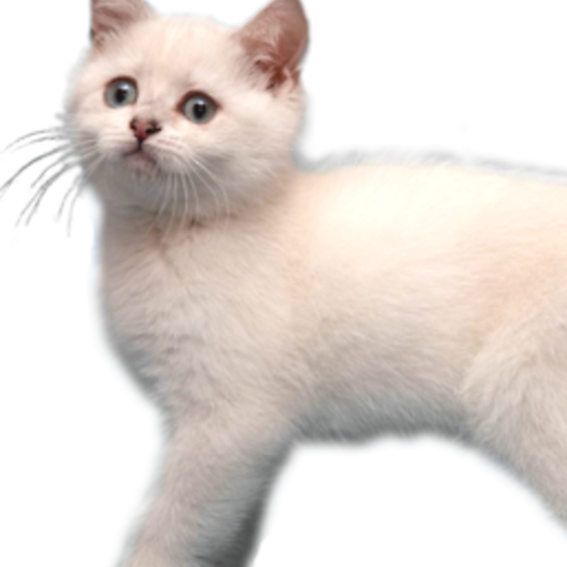 Flappy Kitty Reborn - App on Amazon Appstore