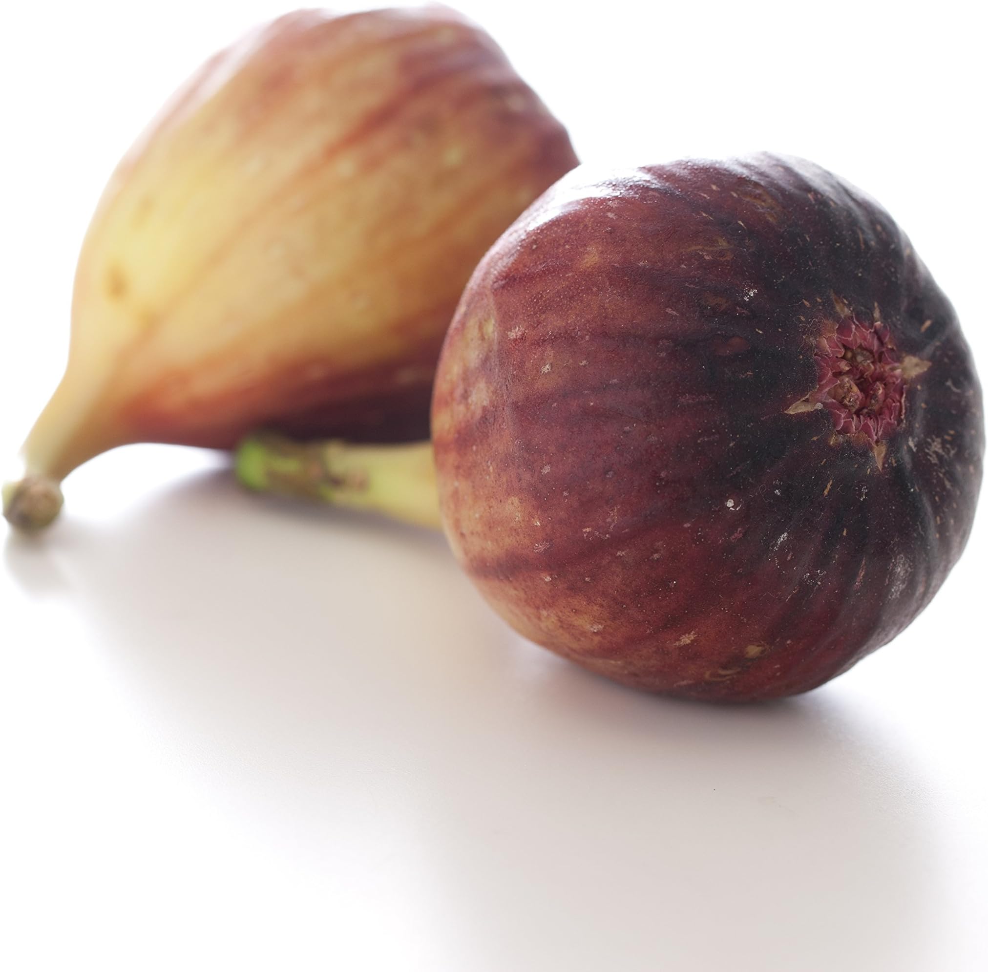 Amazon.com : Texas Everbearing Fig - Ficus Carica AKA Brown Turkey Fig ...