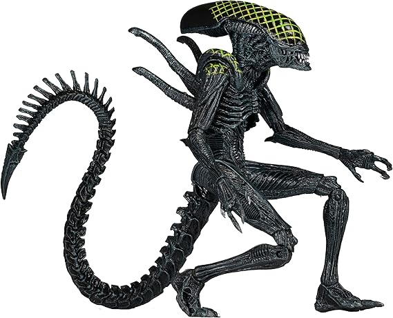Amazon.com: NECA Aliens Series 7 AvP Grid Action Figure (7" Scale ...