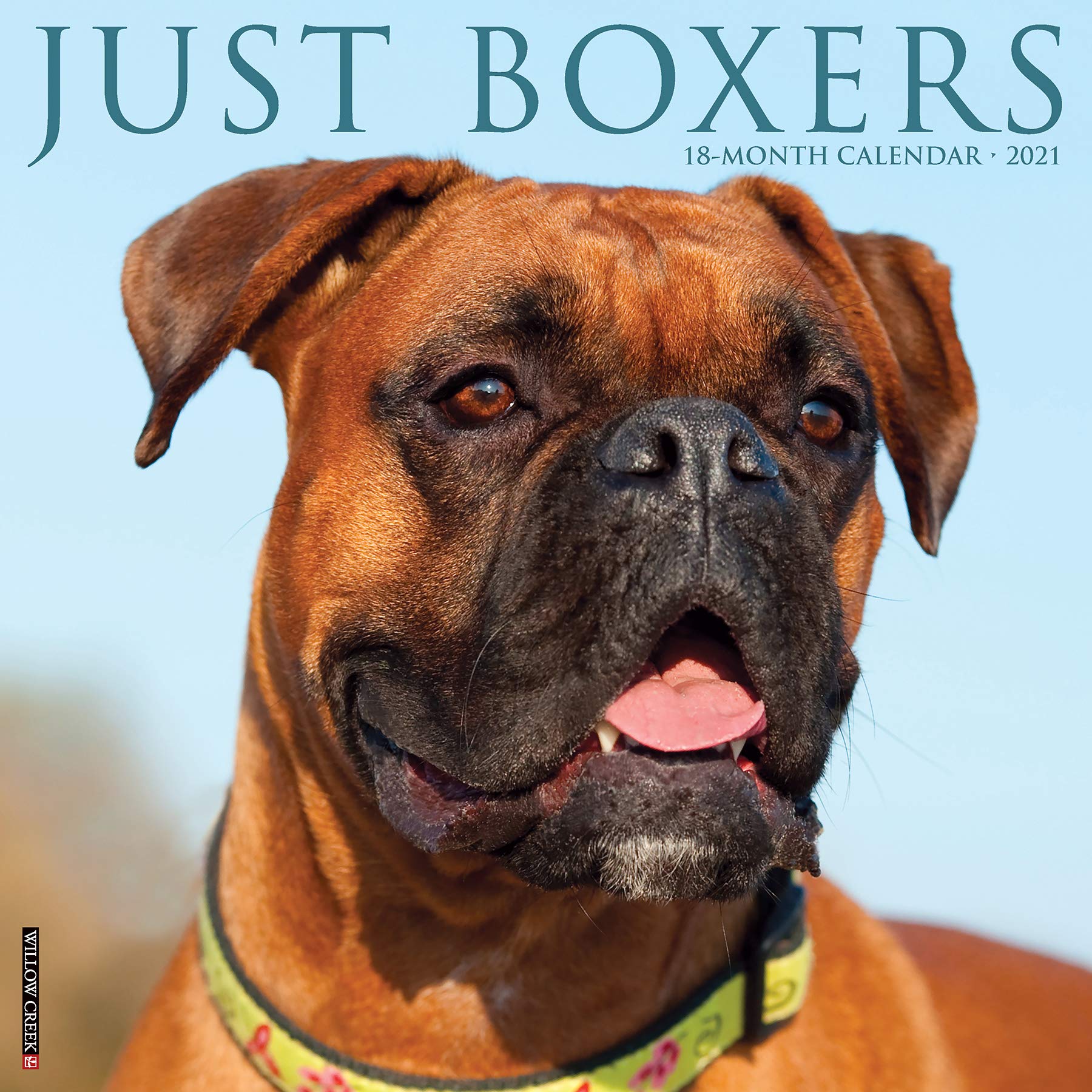 Just Boxers 2021 Wall Calendar (Dog Breed Calendar): Willow Creek Press ...