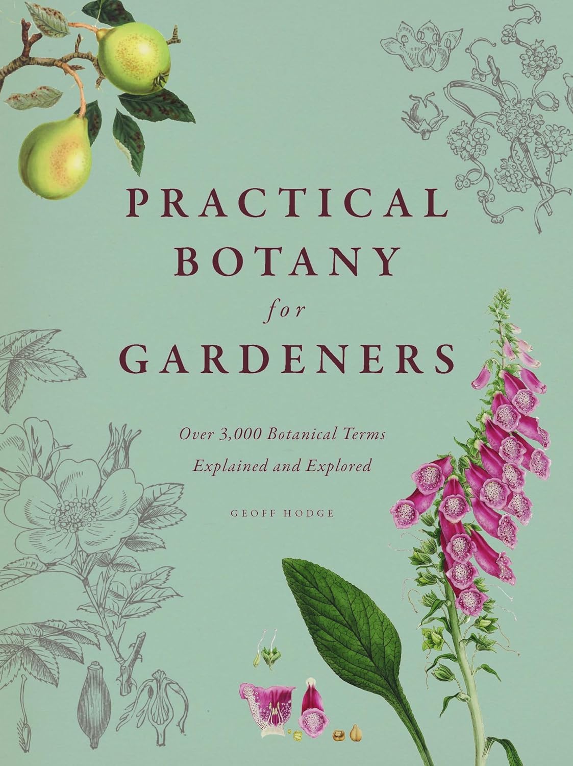 Practical Botany for Gardeners: Over 3,000 Botanical Terms Explained ...