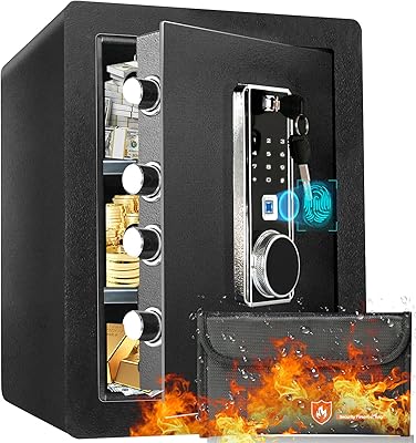 Amazon.com: Sentry Safe Large Fireproof Safe with Combination Lock ...