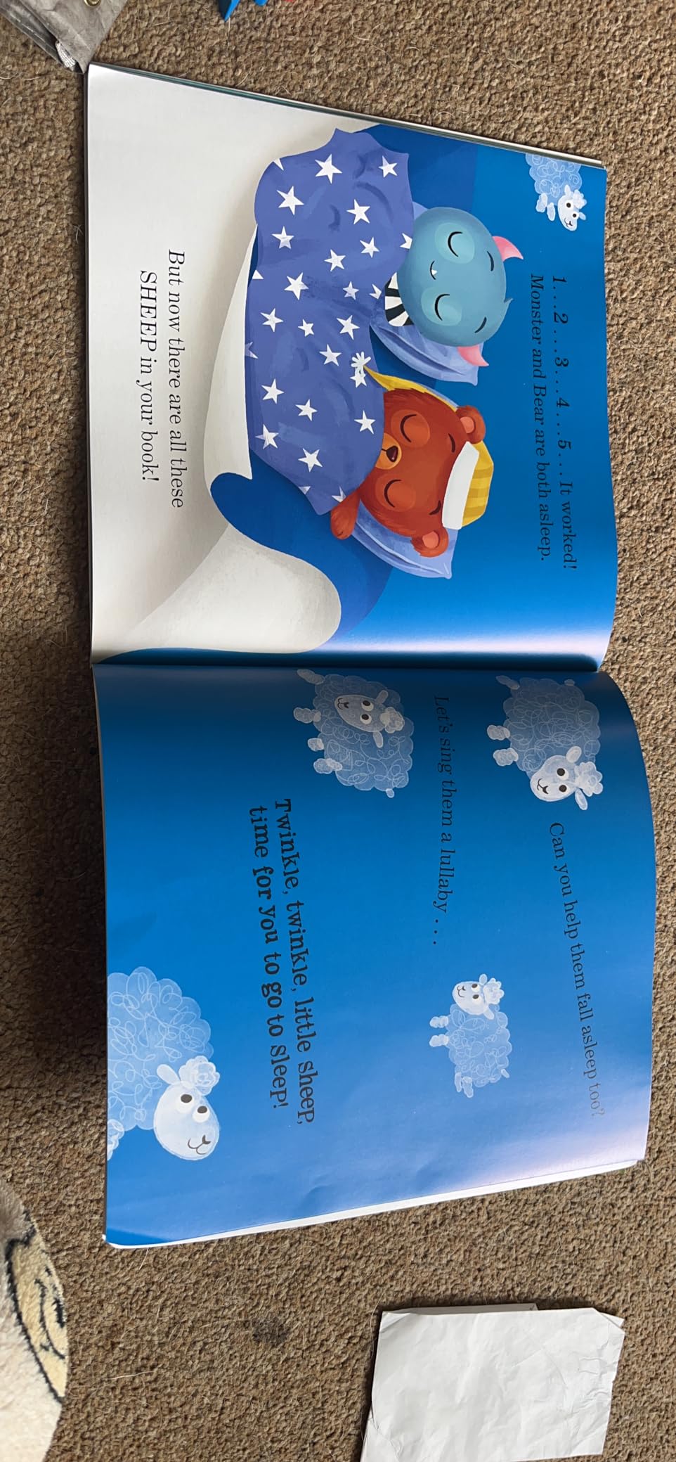 There's a Bear in Your Book: A soothing bedtime story from Tom Fletcher ...