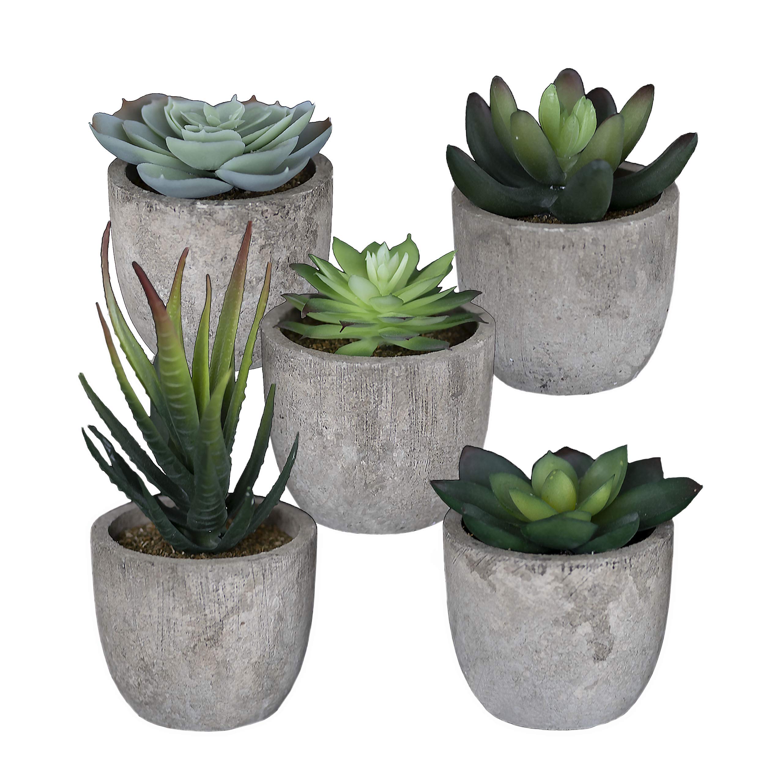 Set Of 5 Succulents Fake Plants Bedroom Aesthetic Small Fake Plants set-of-5-succulents-fake-plants-bedroom-aesthetic-small-fake-plants