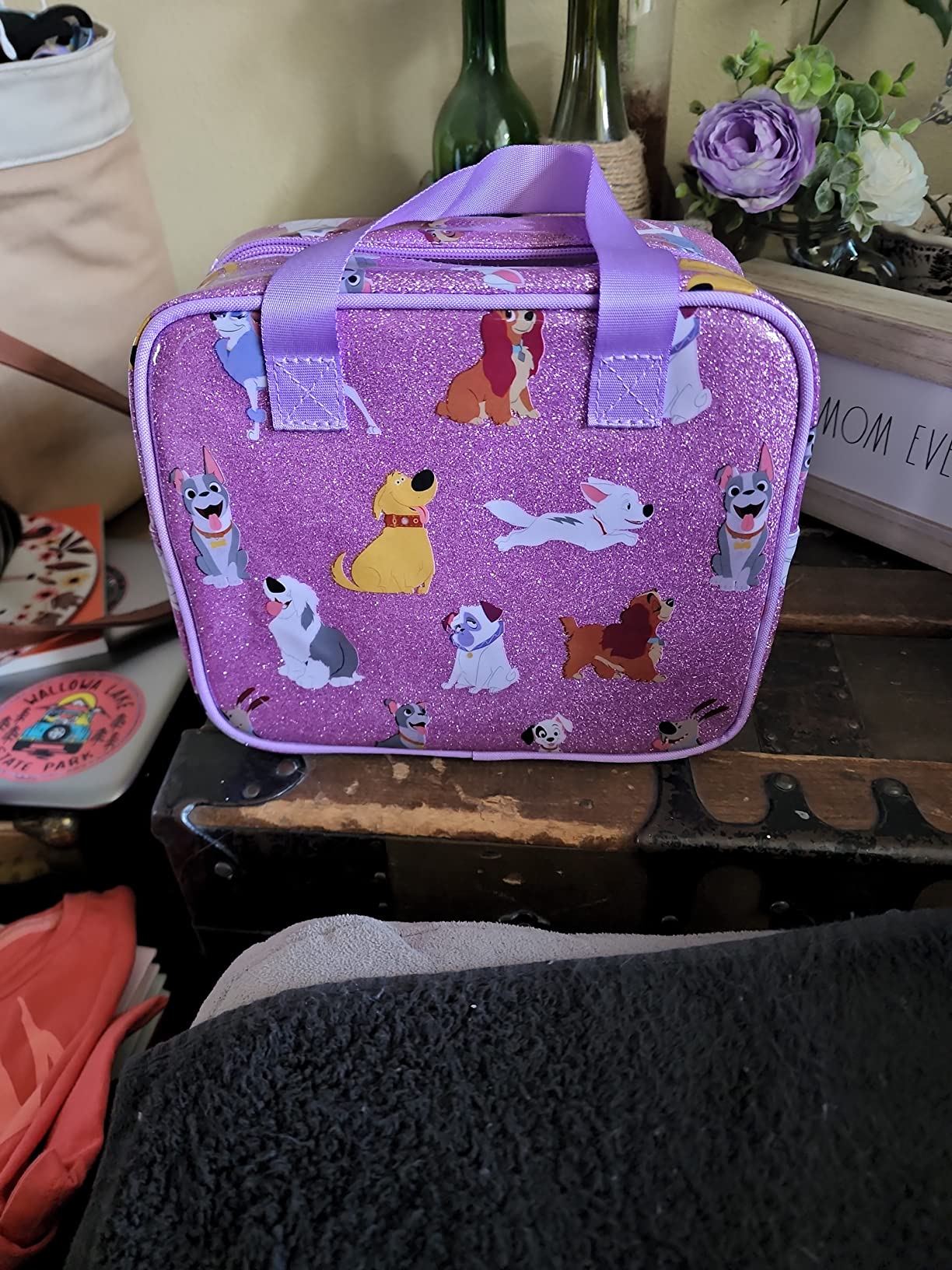 Amazon.com: Disney Dogs Lunch Box : Home & Kitchen