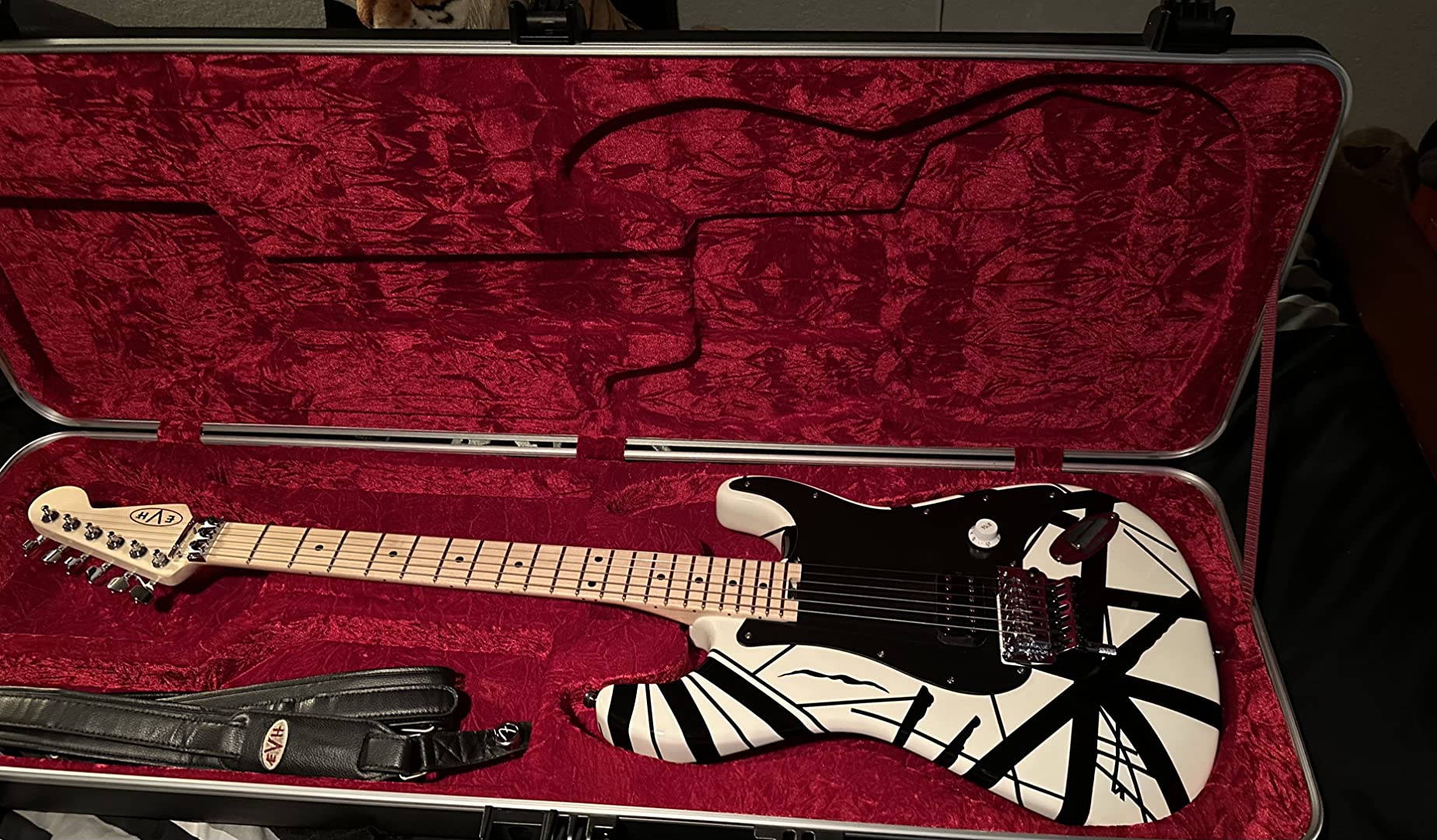 Amazon.com: EVH Fender Striped Series Case - Black : Musical Instruments