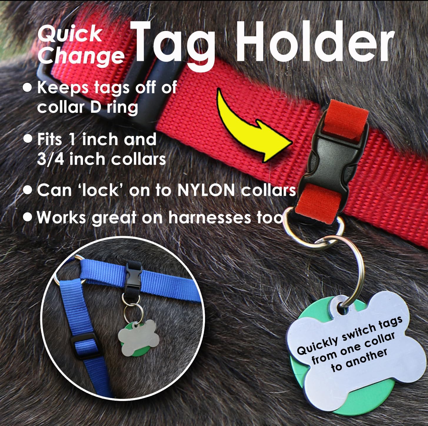 Amazon.com: Quick Change Dog Tag Clip Easily Switch Tags from One ...