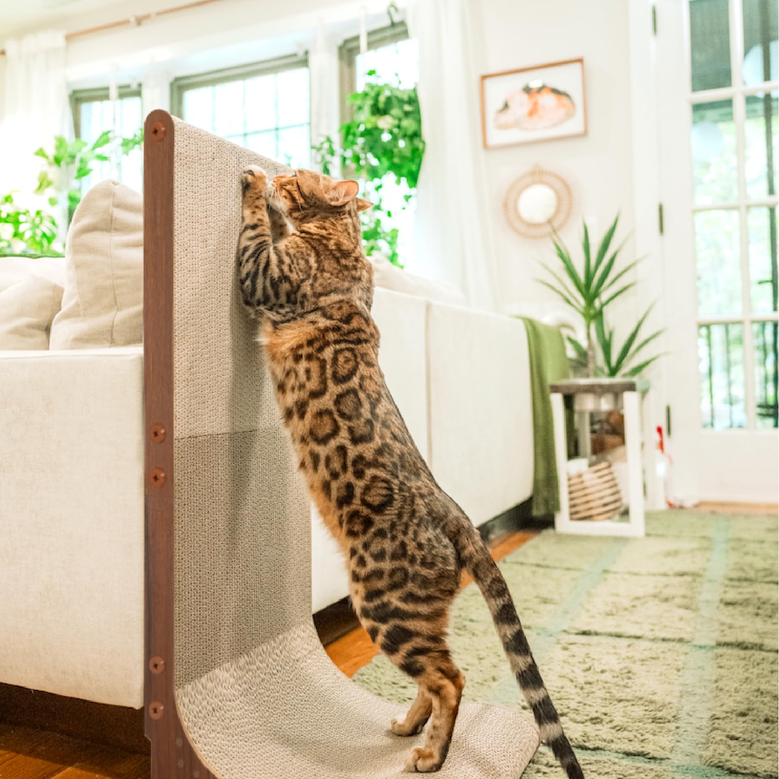 Snapklik.com : Necoichi Cardboard Cat Scratcher Wall For Indoor Cats ...