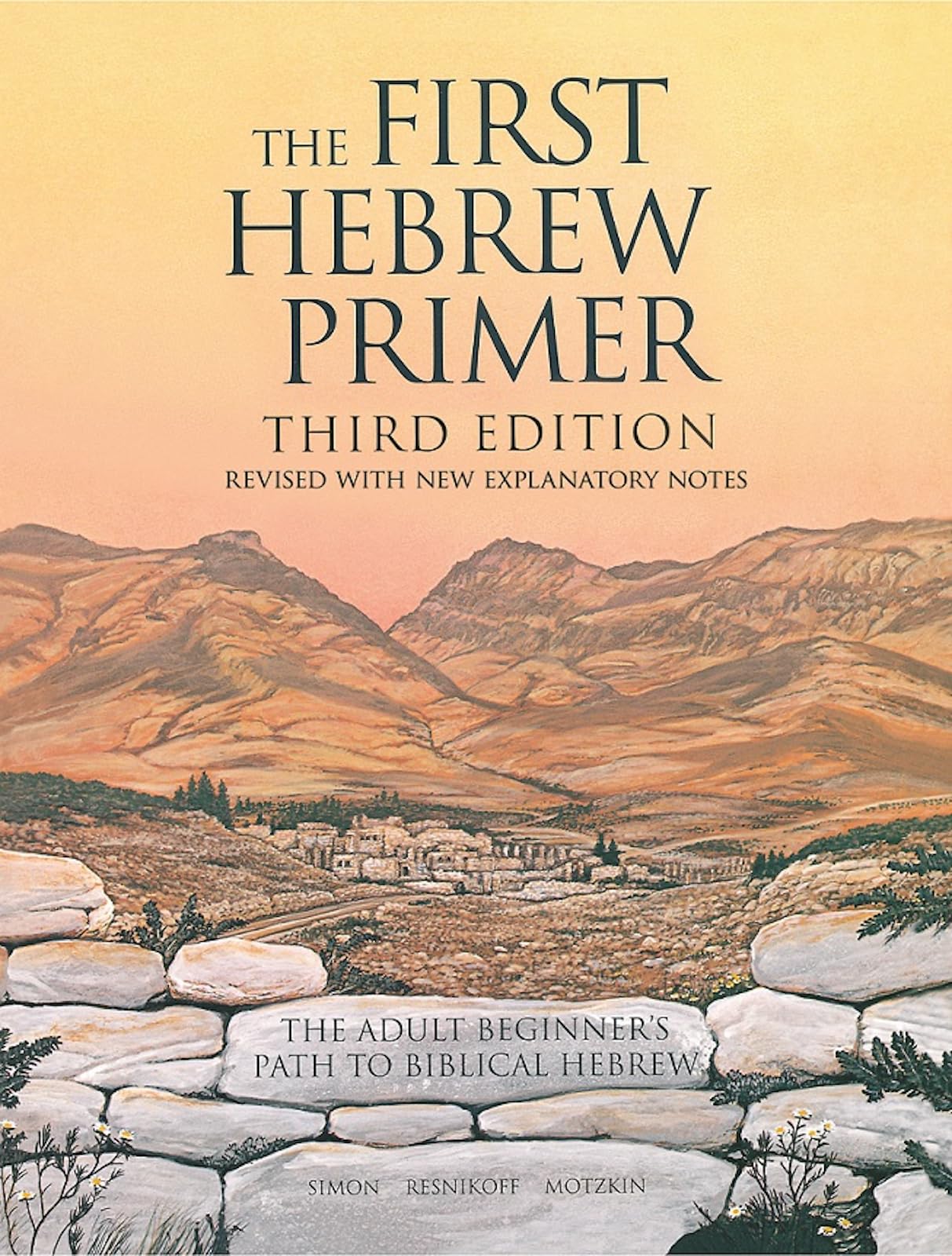 Amazon.com: The First Hebrew Primer: The Adult Beginner's Path to ...