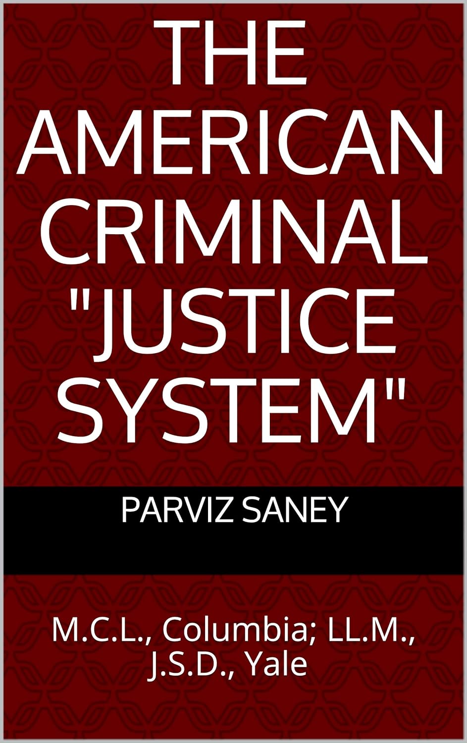 Amazon.com: The American Criminal "Justice System": Urgent Call for an ...