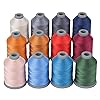 Amazon.com: Simthread All Purposes Sewing Thread, 12 Spools Size 40D/2 ...