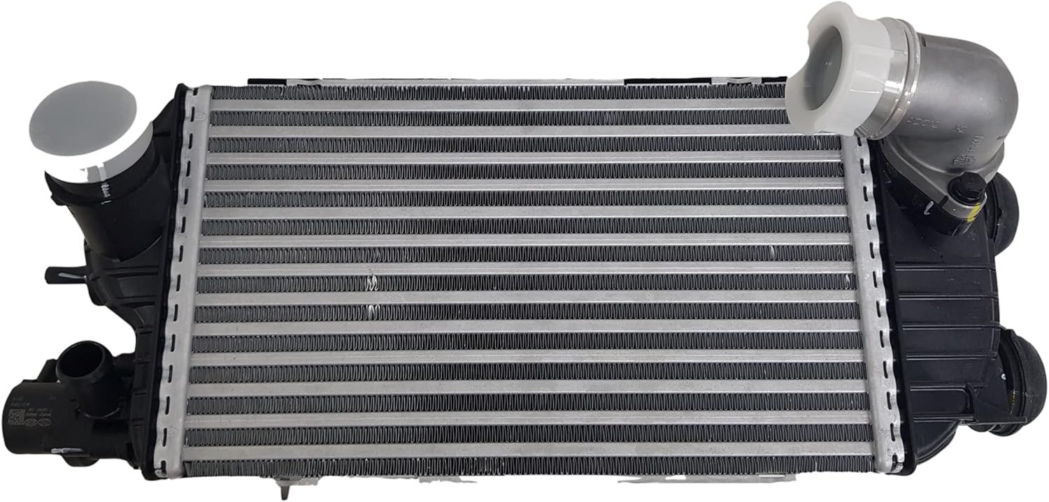 Amazon.com: Genuine OEM 28270-2M400 Intercooler / 282702M400 for ...