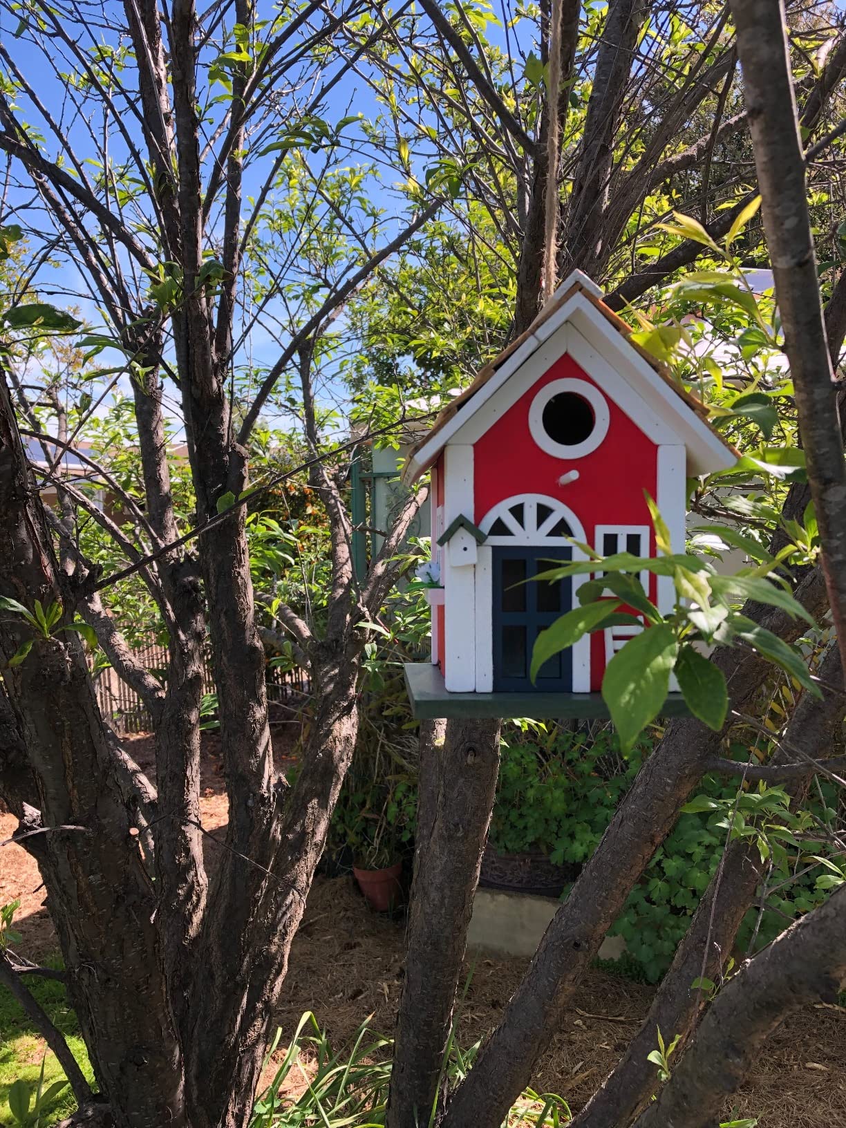 $4/mo - Finance Large Cedar Wood Insect House Kit for Kids DIY Project ...