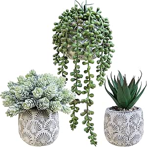 Amazon.com: Winlyn Set of 3 Artificial Potted Succulent Plants Faux ...