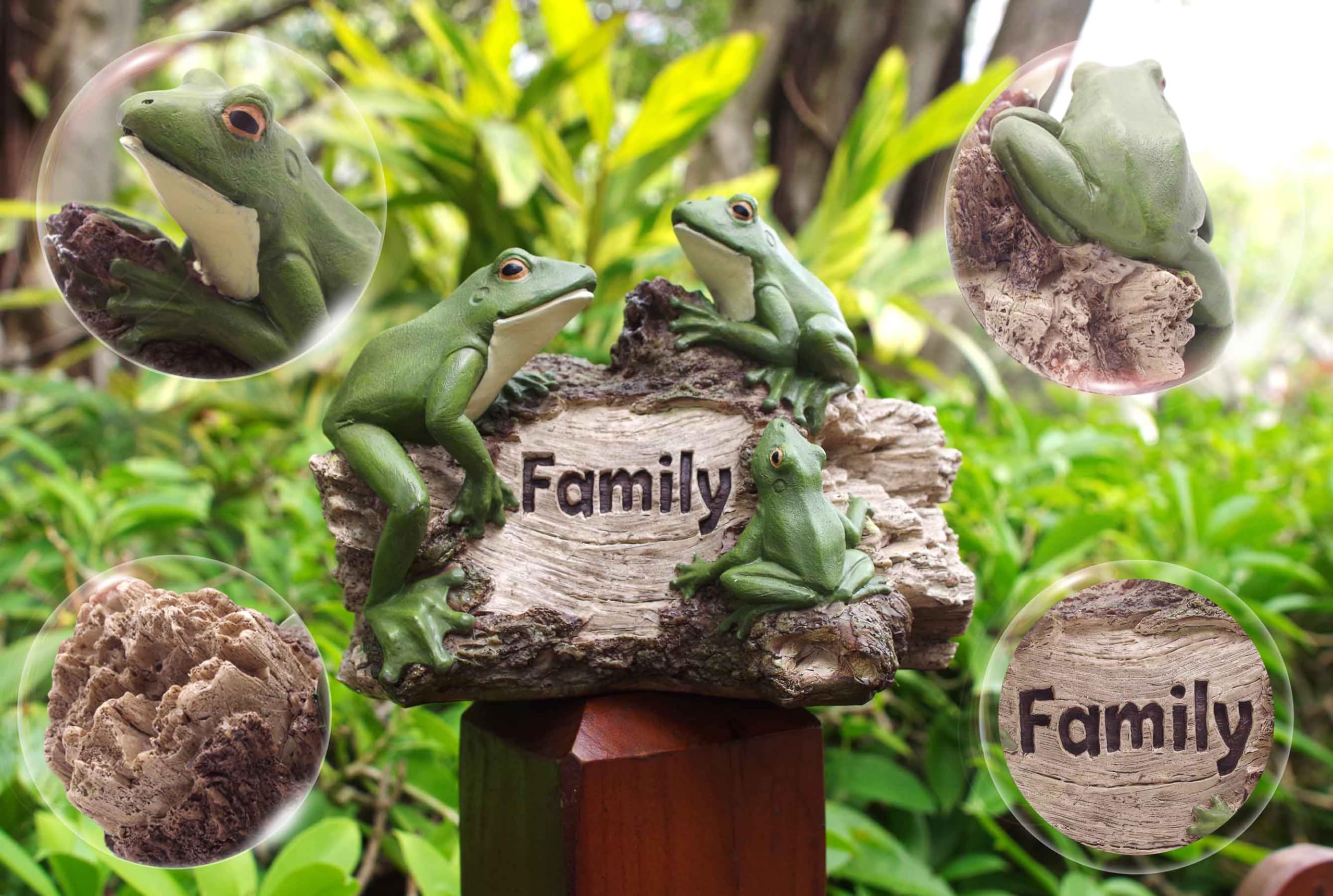Frog Family