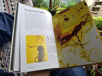 Wasps: The Astonishing Diversity of a Misunderstood Insect: Eaton, Eric ...