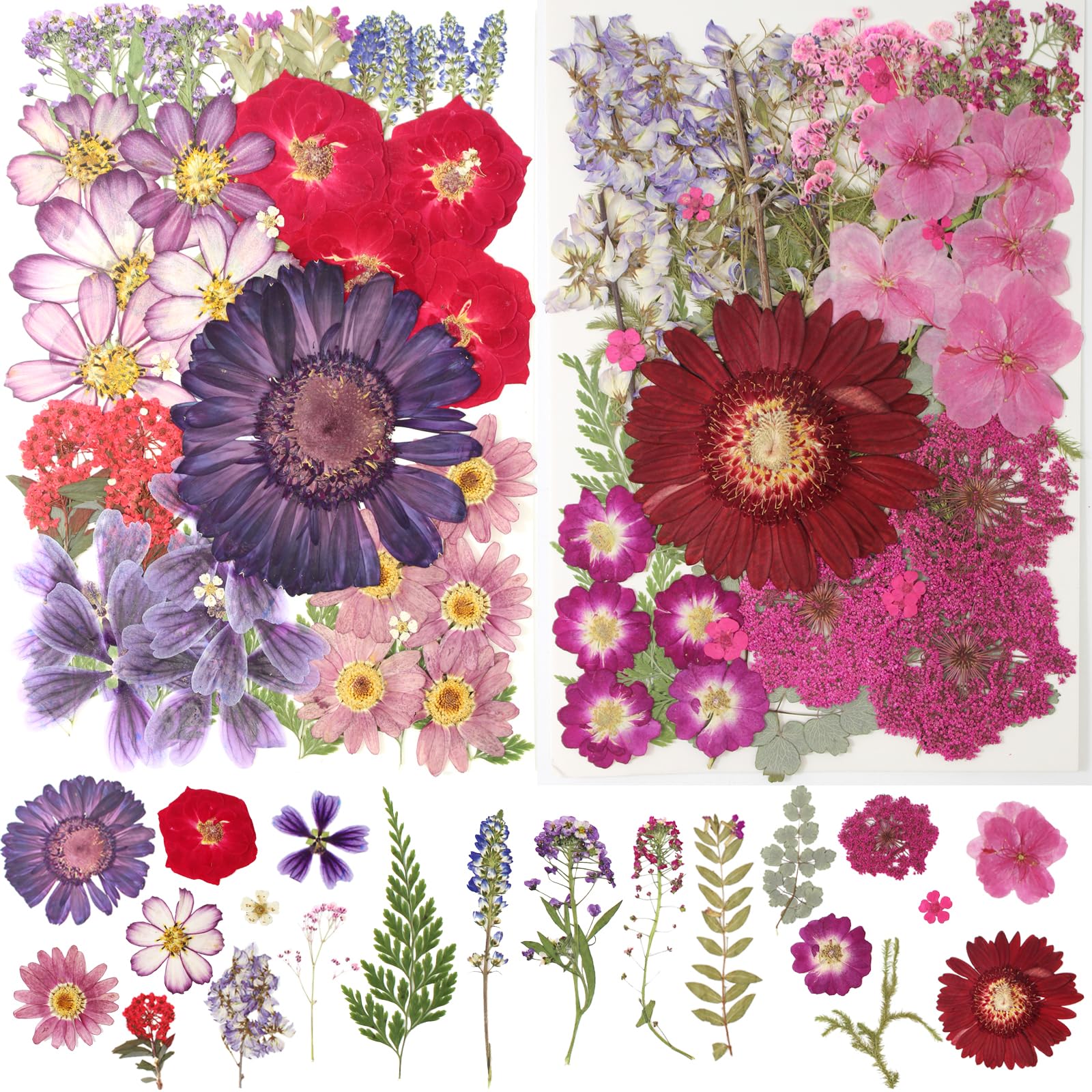 Amazon.com: 100Pcs Purple Dried Pressed Flowers,Real Pressed Flowers ...