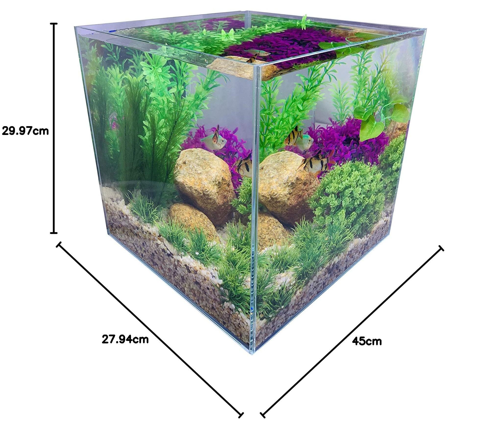 35 Gallon Freshwater Planted Aquarium