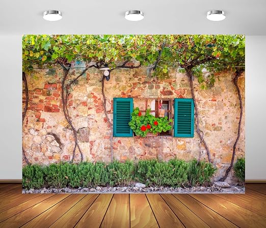 Amazon.com : BELECO 7x5ft Fabric Italy Stone House Backdrop Tuscany ...