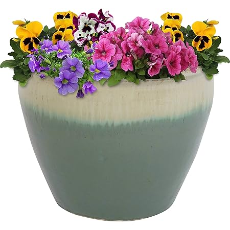 Amazon.com : Sunnydaze Studio Ceramic Flower Pot Planter with Drainage Hole - High-Fired Glazed ...