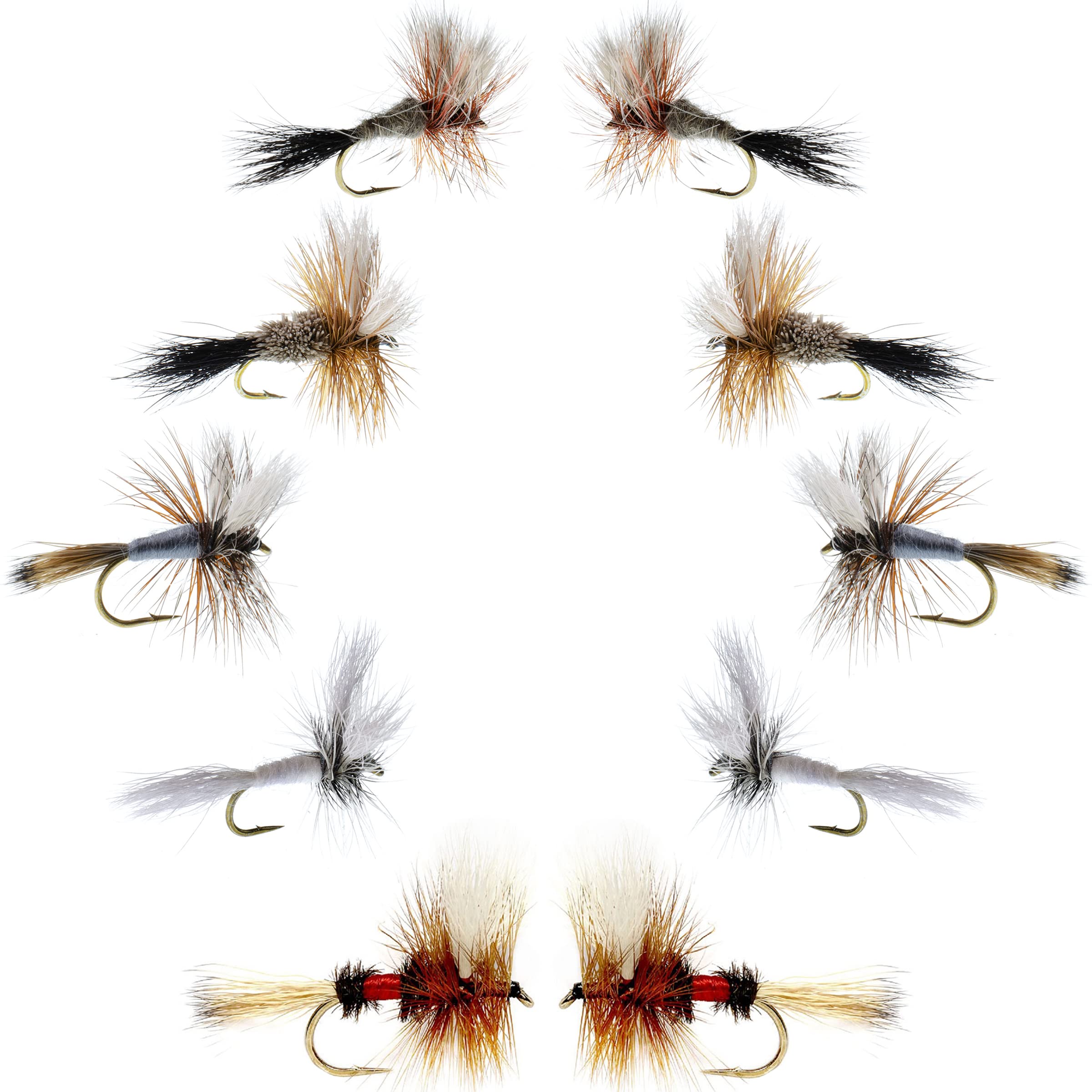 Amazon.com : The Fly Fishing Place Basics Collection - Wulff Dry Fly ...