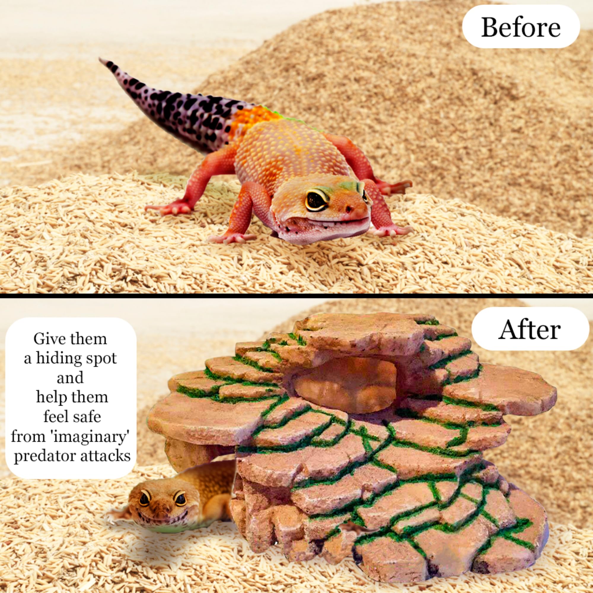 Snapklik.com : Gecko Rock Hide Basking Platform, Reptile Resting Shale ...