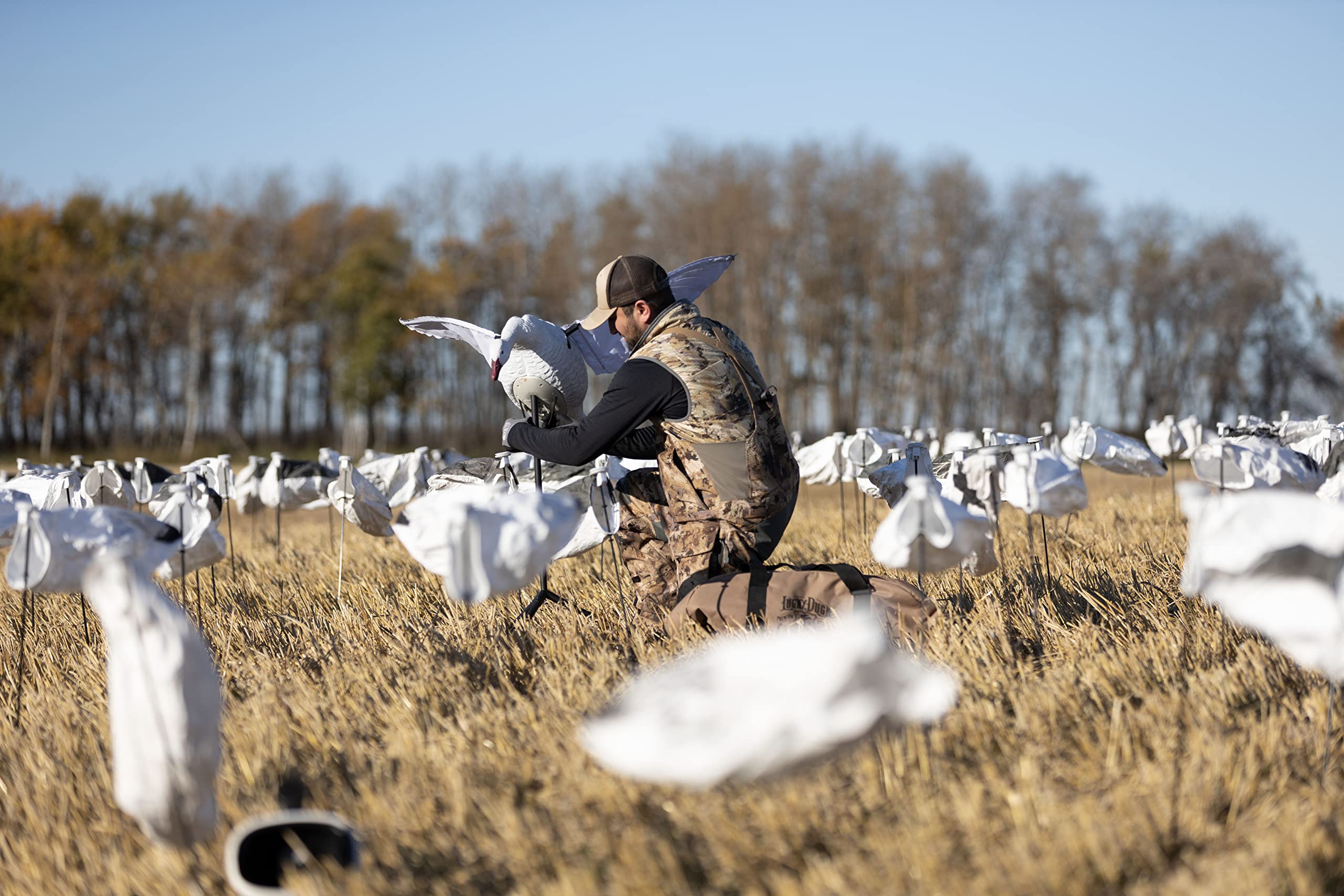 Snapklik.com : Super Snow Goose Flapper HDI