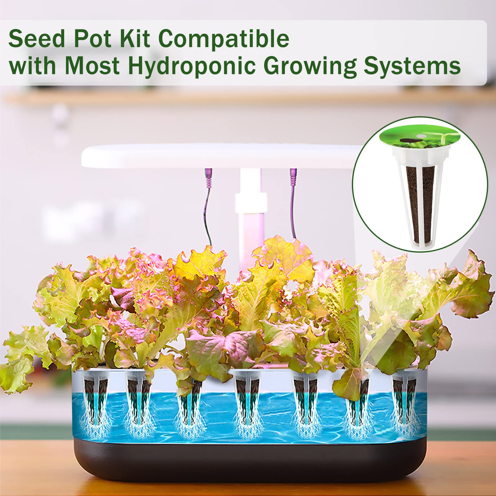 Snapklik.com : Garden Seed Pods,DECYOOL 48pcs Hydroponic Pods Kit:Grow ...
