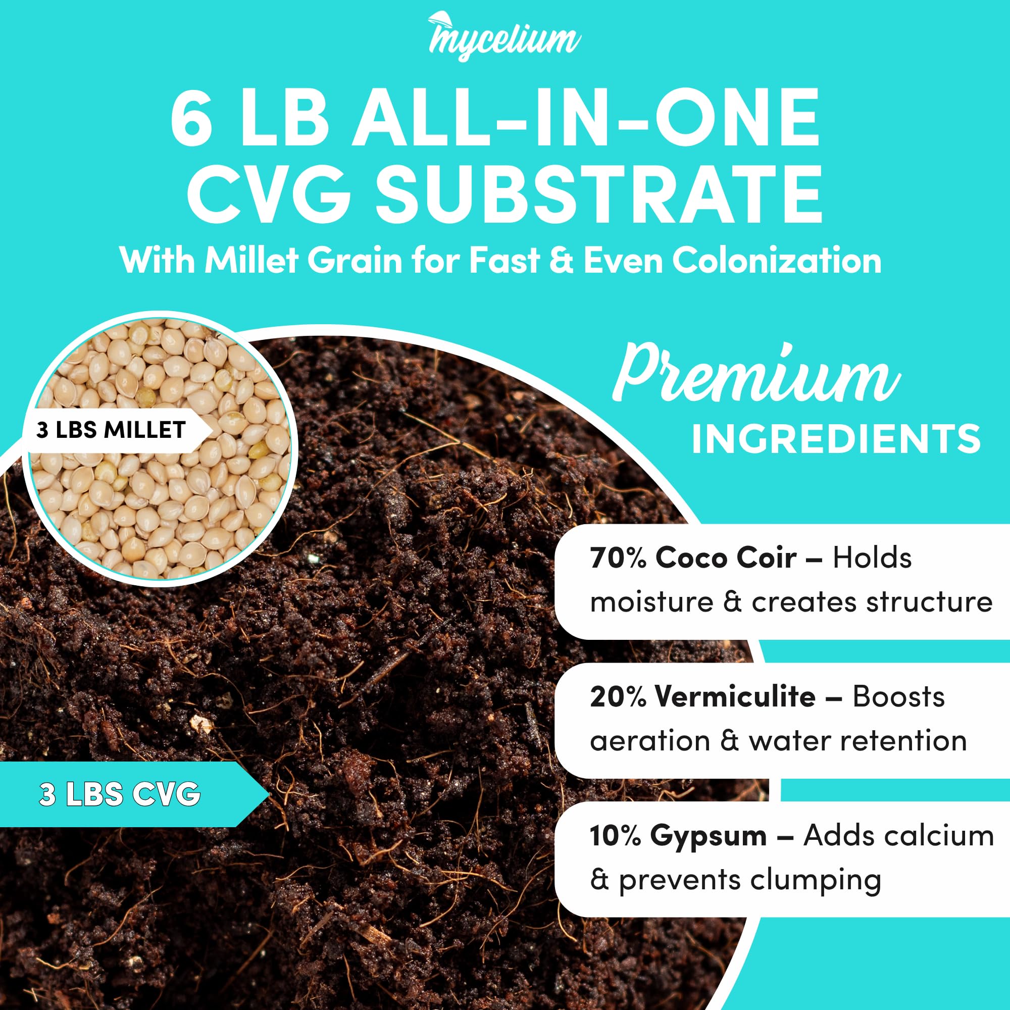 Snapklik.com : Mycelium 6 LB Mushroom Growing Kit All-in-One CVG ...