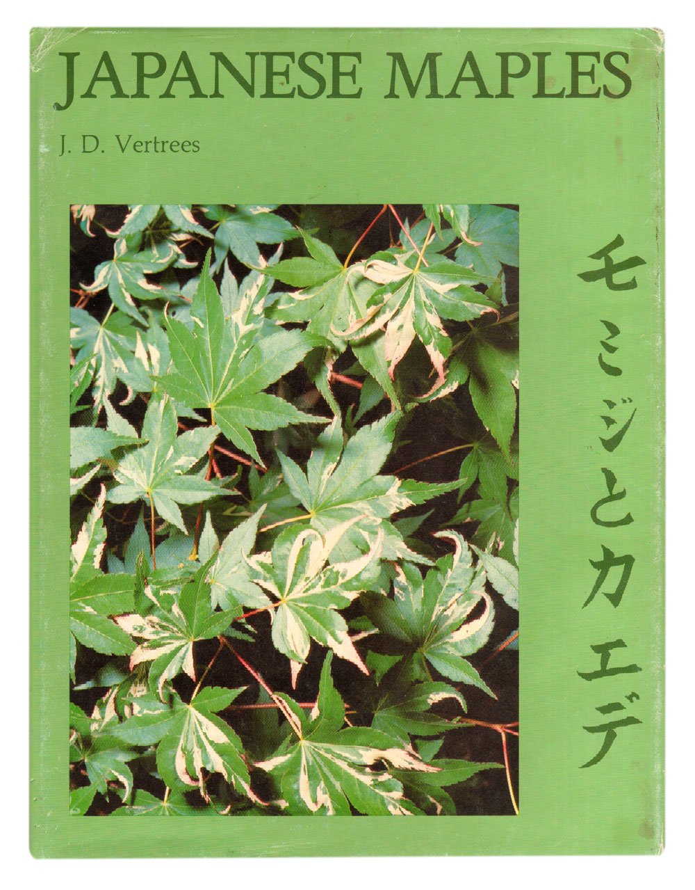 Japanese Maples: Momiji and Kaede: J. D. Vertrees: Amazon.com: Books