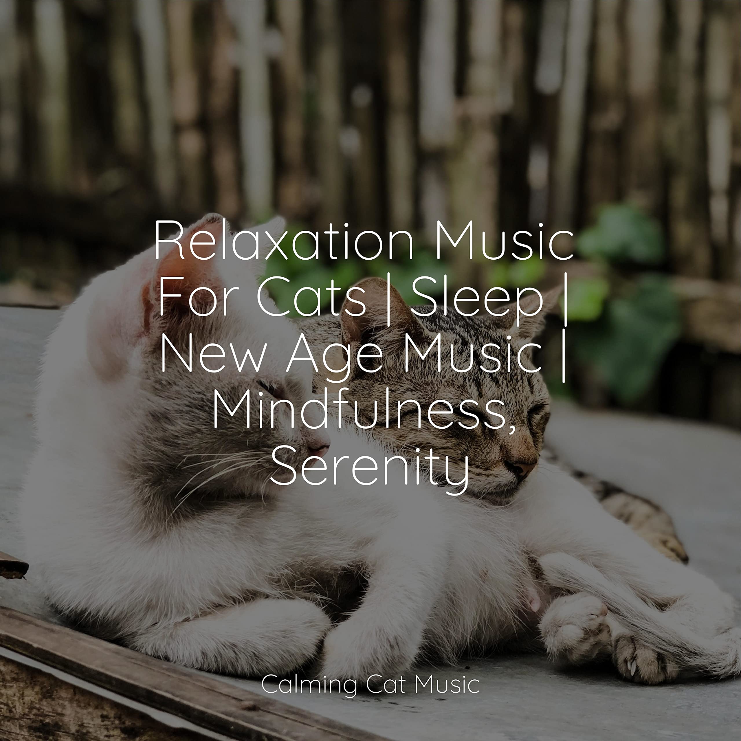 Into the Clouds song by Jazz Music Therapy For Cats, Cat Music Dreams ...