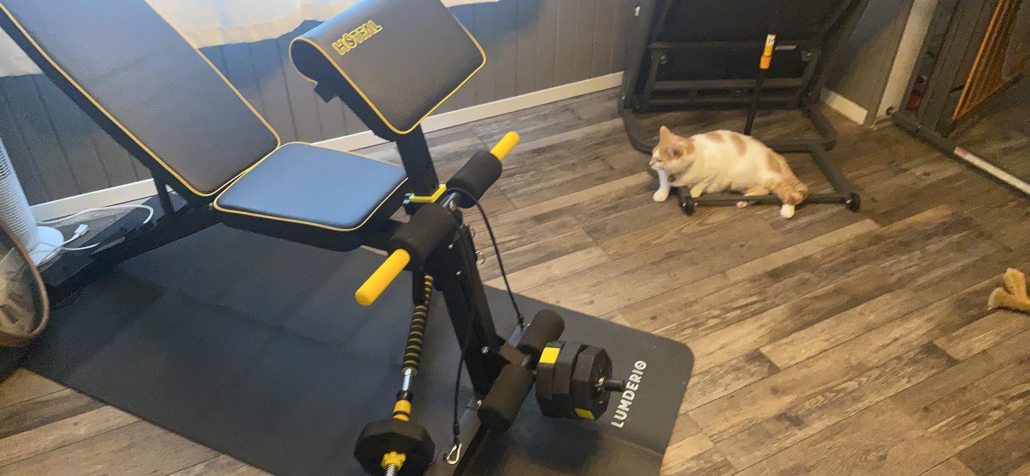 $20/mo - Finance Adjustable Weight Bench,Utility Strength Training ...