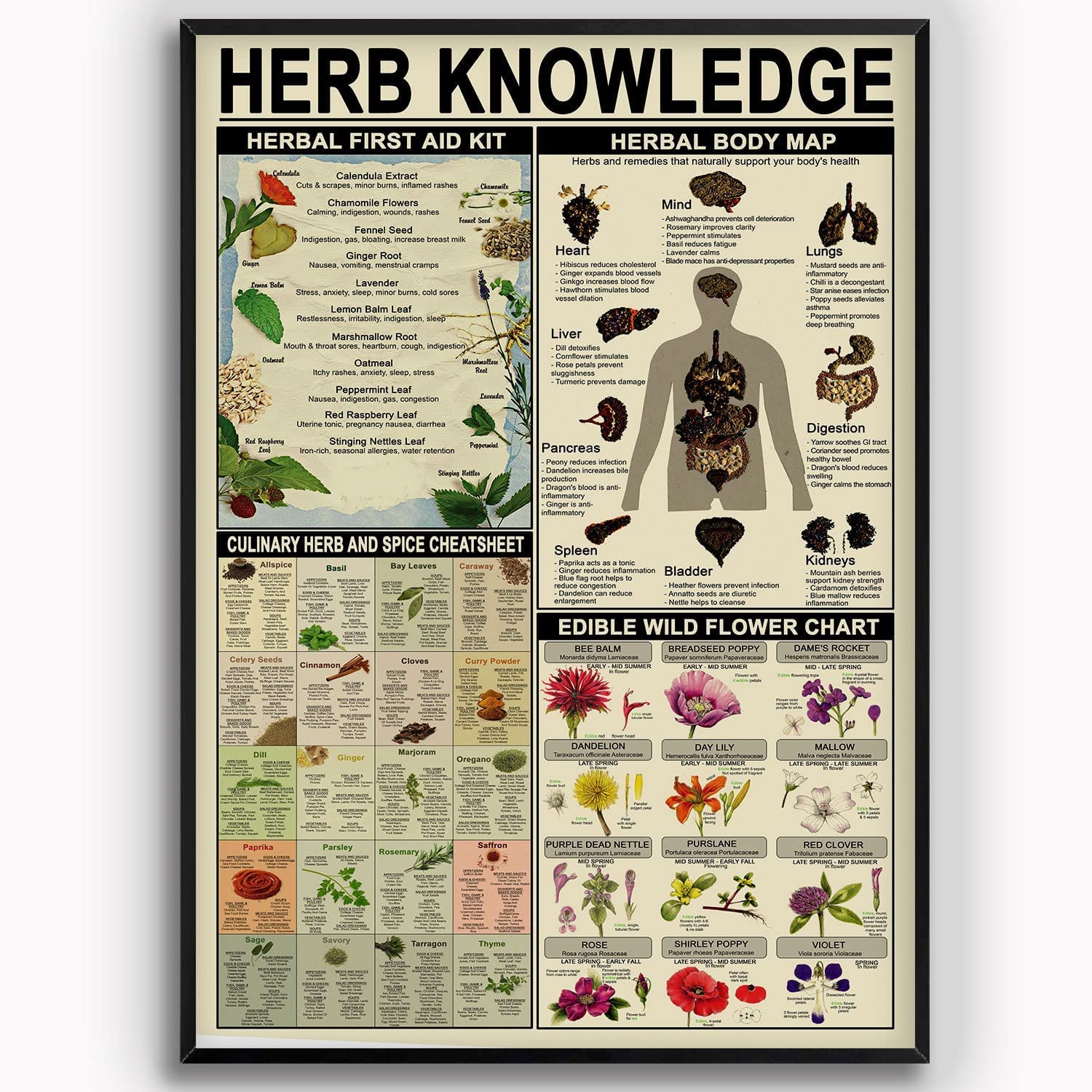 Amazon.com: Herb Knowledge Metal Tin Signs Vintage Herbal First Aid Kit ...