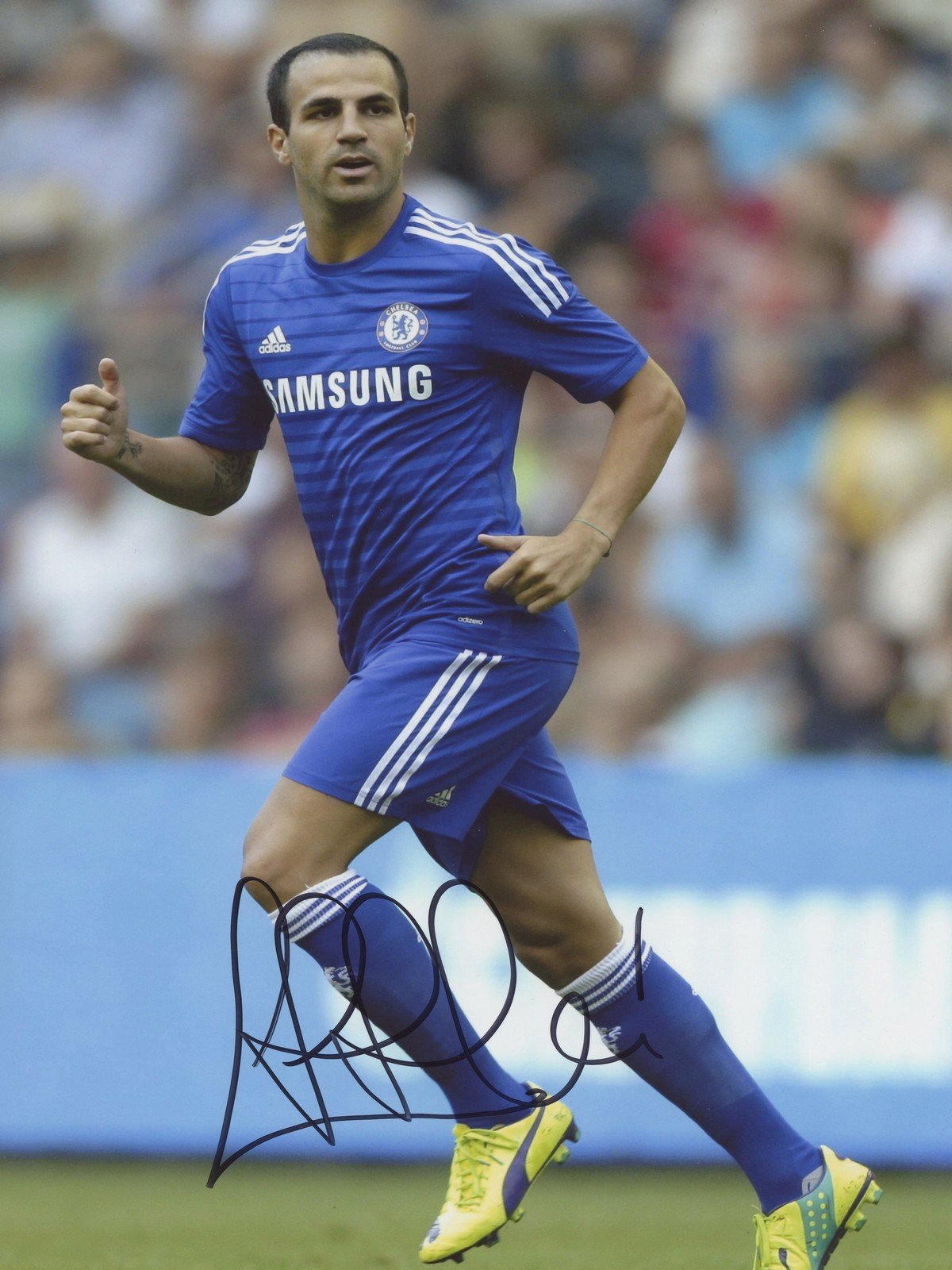 Cesc Fabregas Chelsea Signing