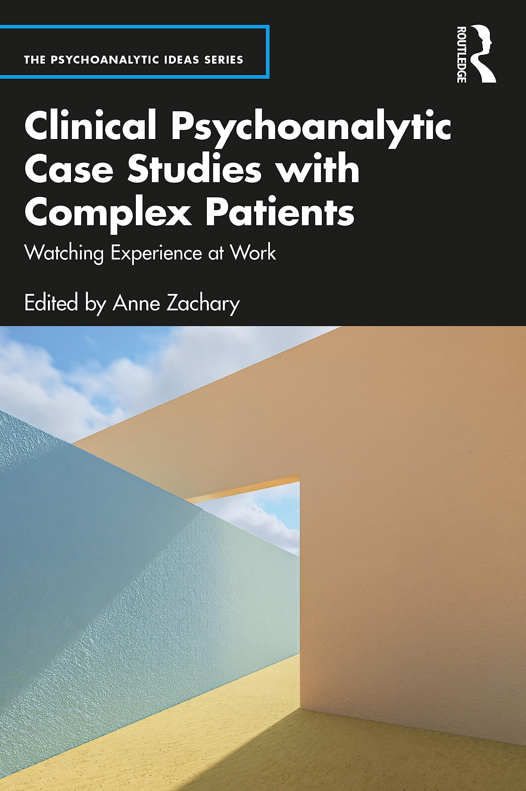 Amazon.com: Clinical Psychoanalytic Case Studies with Complex Patients ...