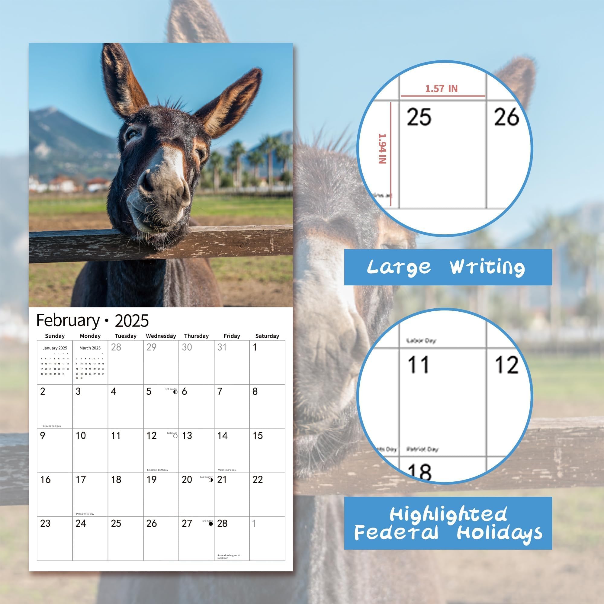 Snapklik.com : 2025 Wall Calendar,Funny Calendar 2025, January 2025 ...